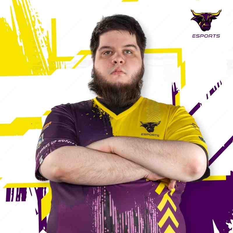 Maverick Esports Overwatch Team - Players and Achievements at Minnesota ...